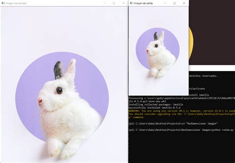 Entornos Virtuales De Python Usando Virtualenv Omes