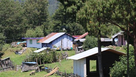 Que Es Una Comunidad Rural Chefli