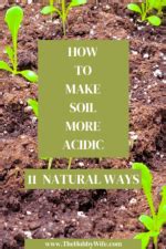 How To Make Soil More Acidic Naturally Ways The Hobby Wife