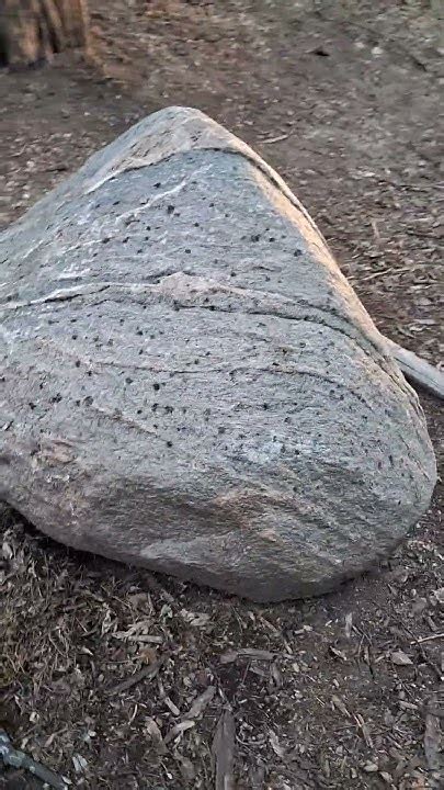 Giant Mudfossil Heart Found At Local Park Wow Mudfossilx Youtube