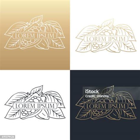 Desain Logo Gambar Tangan Biji Kakao Ilustrasi Stok Unduh Gambar Sekarang Alam Biji Botani