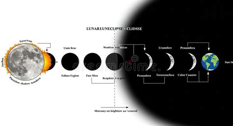 Diagram Illustrating A Lunar Eclipse Shows The Earth Sun And Moon