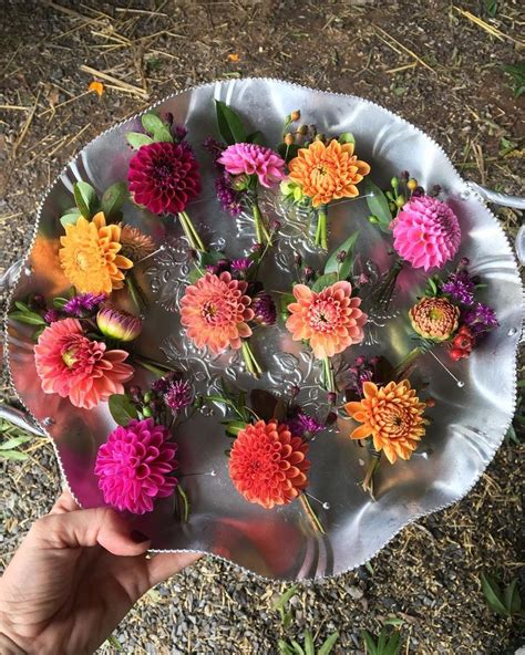 Anna Caitlinさんはinstagramを利用しています 「we Brought Alllllll The Vibrant
