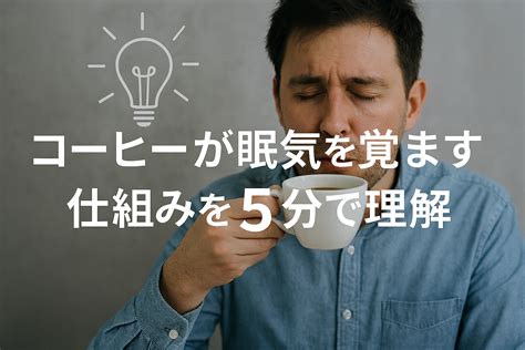 コーヒーが眠気を覚ます仕組みを5分で解説！ 科学の部屋