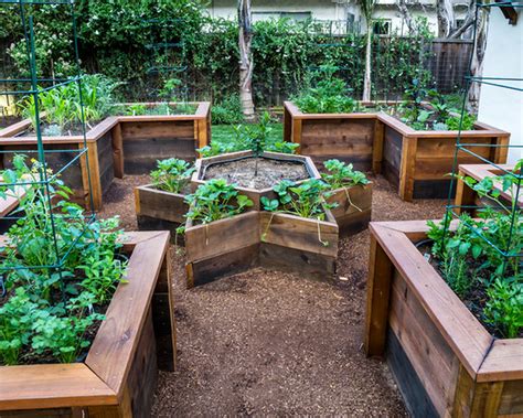 Unique Ideas For Raised Garden Beds At Barbara Redmond Blog