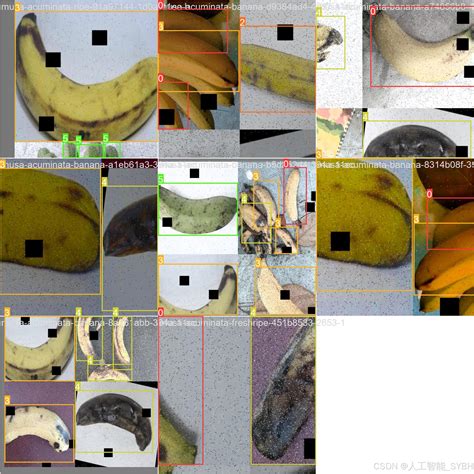 基于深度学习的香蕉成熟度检测系统（yolov8 yolo数据集 ui界面 python项目 模型） 基于深度学习的香蕉成熟度检测算法的构建与