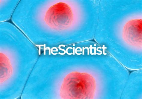 exploring the tumor microenvironment with spatial biology science