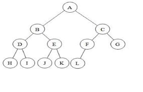 data structure trees