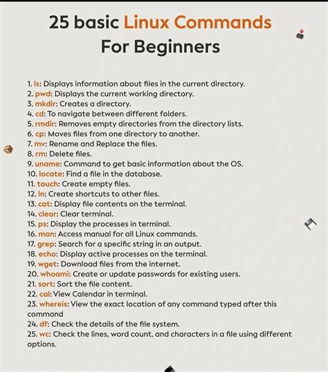 Opentoopportunities Linuxcommands Linuxworld Fullstackdeveloper Programming