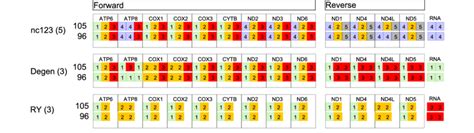 Partition Schemes Selected By Partitionfinder For Each Of The 105 And