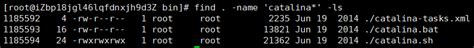 linux命令——查找文件大小大于1m的文件 linux查找大于1m的文件 csdn博客