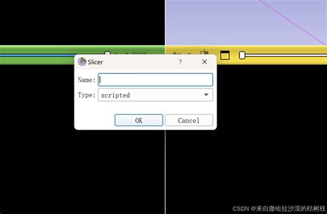 3d Slicer Python插件制作一 插件的创建3d Slicer 插件 Csdn博客