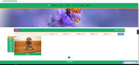 Springbootjavaphpnodepython流浪宠物管理系统【计算机毕设】 Csdn博客