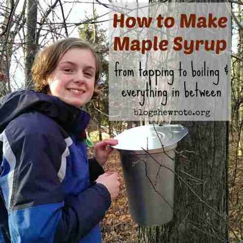 How To Make Maple Syrup Blog She Wrote