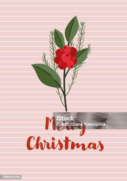 메리 크리스마스 엽서 해피 홀리데이 인사말 카드 분홍색 배경에 겨울 식물 크리스마스 꽃 그림입니다 감상성에 대한 스톡 벡터 아트 및 기타 이미지 Istock