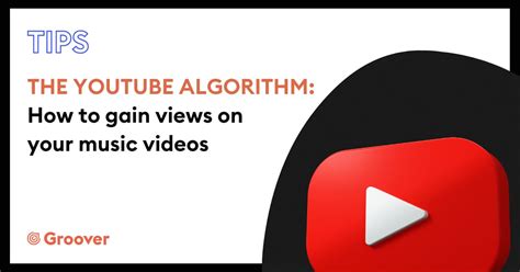 How Does The Youtube Algorithm Work