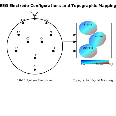 Electroencephalogram Eeg Signal Processing Tutorials On Electronics
