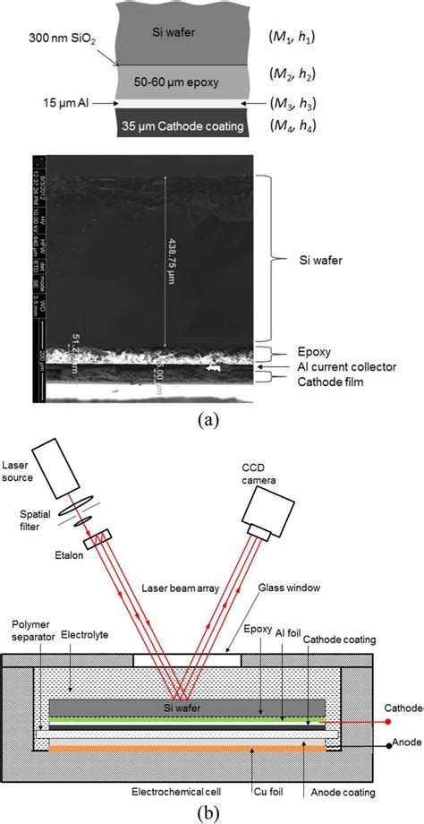 A Schematic Of The Sample Cross Section And The Corresponding Sem
