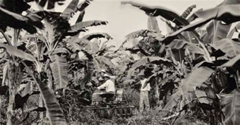 Masacre De Las Bananeras 90 Años De Soledad Y Olvido