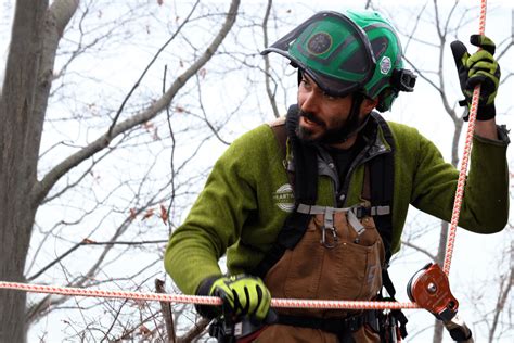 Simple Tree Rigging Tips And Tricks For Arborists Of All Levels Right Rope