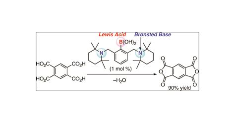Brønsted Base Assisted Boronic Acid Catalysis For The Dehydrative Intramolecular Condensation Of