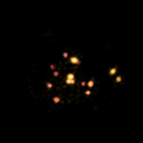 Stars In Galaxies Clusters