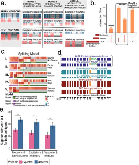 three models of alternative splicing followed by differentially spliced