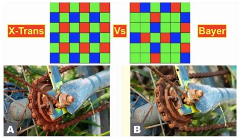 Fujifilm X Trans Vs Bayer Sensor Quick Blind Test Comparison Which One Do You Prefer Fuji Rumors