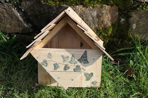 DIY Bird Box For Robins Wrens Pied Wagtails Eastern Bluebirds Northern Flickers And Purple