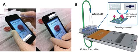 Different Techniques In Smartphone Optical Sensing A Optical Sensing