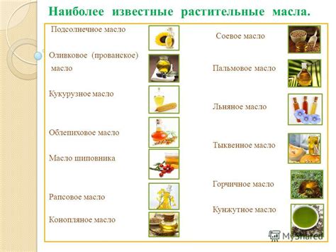 Виды масел для питания список 51 фото - wForm.ru