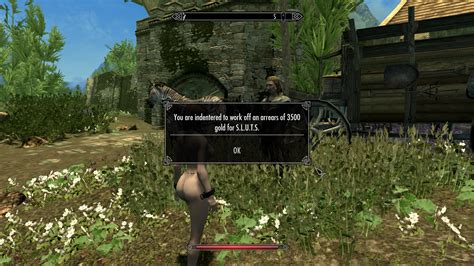 Sluts Redux Page 6 Downloads Sexlab Framework Le Loverslab