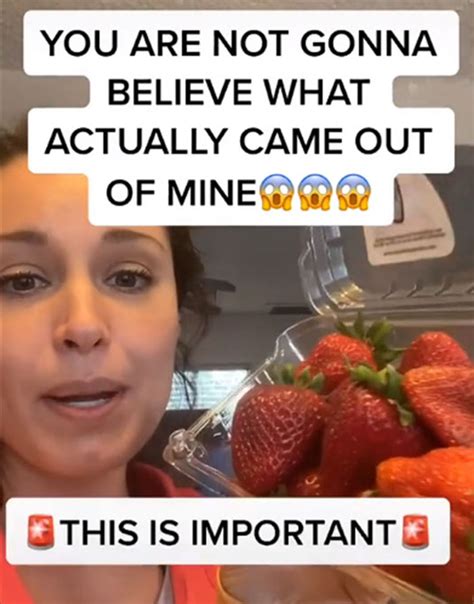 Put Strawberries Into Salt Water And Tiny Bugs Will Come Out Not Fake Art Sheep