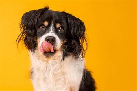 Cbd Abbreviation What Does Cbd Stand For