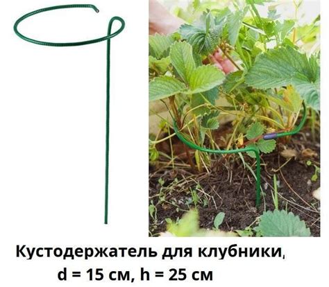 Подставка для клубники: виды опор и как сделать подпорку своими руками