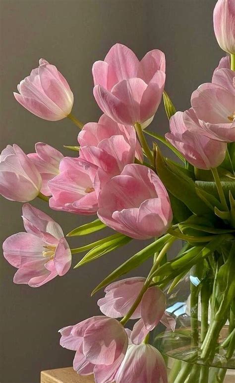 Tulip Bouquet Pretty Flowers Pictures Pink Flowers Beautiful