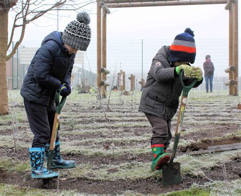 School Tree Planting Programme Climate Education