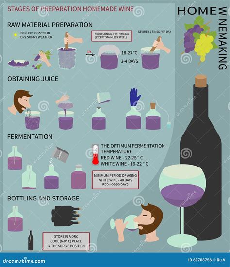Wine Making Easy Steps At Evelyn Lowman Blog