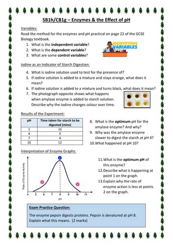 Sb1h Cb1g Enzymes And Ph Core Practical Edexcel Teaching Resources