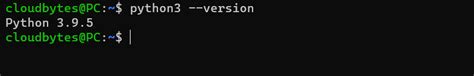 Run Selenium And Chrome On WSL Using Python And Selenium Webdriver