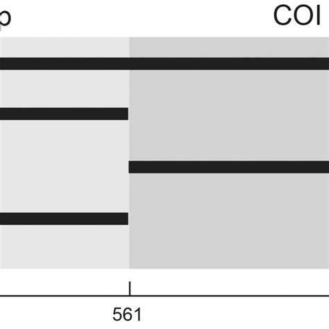 Sequence Coverage In The Dataset A Total Of 217 Samples Are