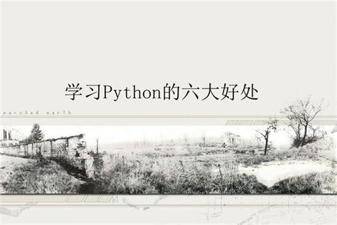 python编程优势详解 csdn博客