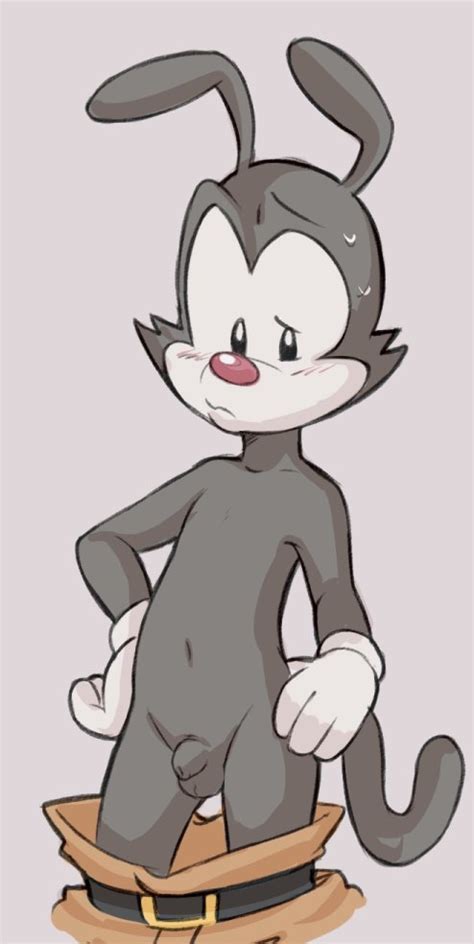 post 3510901 animaniacs dandi yakko warner