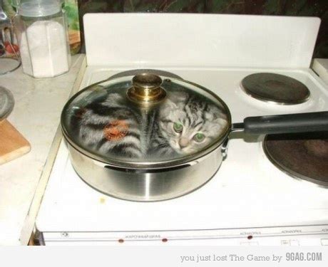 Eating Pussy Dan Lee