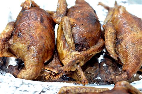 이집트 하맘 마흐시 또는 박제 스쿼브 아랍 요리 쌀과 프리케로 가득 이집트 전통 박제 비둘기 요리 가득 찬에 대한 스톡 사진 및