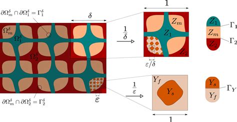multiscale numerical modelling of perfusion in deformable double porous