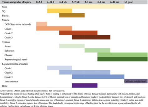 Shoulder Post Op Procedures Flashcards Quizlet