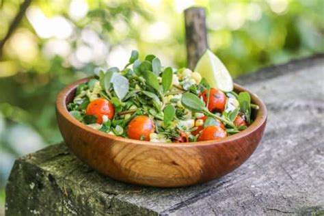 Verdolagas Purslane Harvesting And Cooking Forager Chef