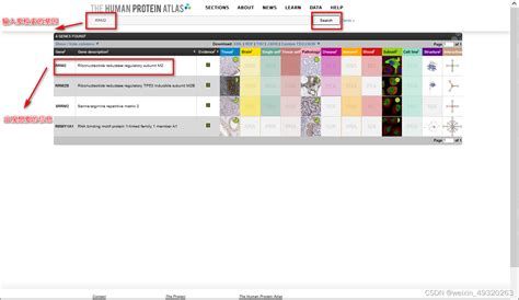 Hpa数据库的使用（1） Csdn博客