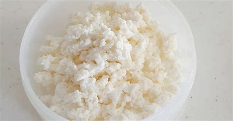 강아지 코티지 치즈 만들기